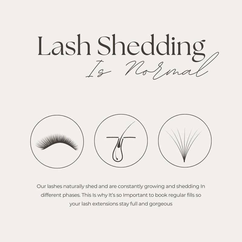 Understanding Lash Shedding: What You Need to Know - Lashpure